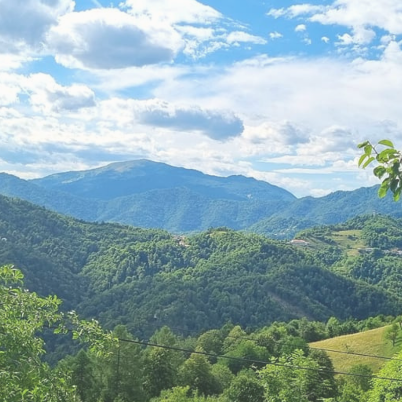 Events - Vseeno. Vse Je Eno (Book Presentation) - Dvorec Vogrsko