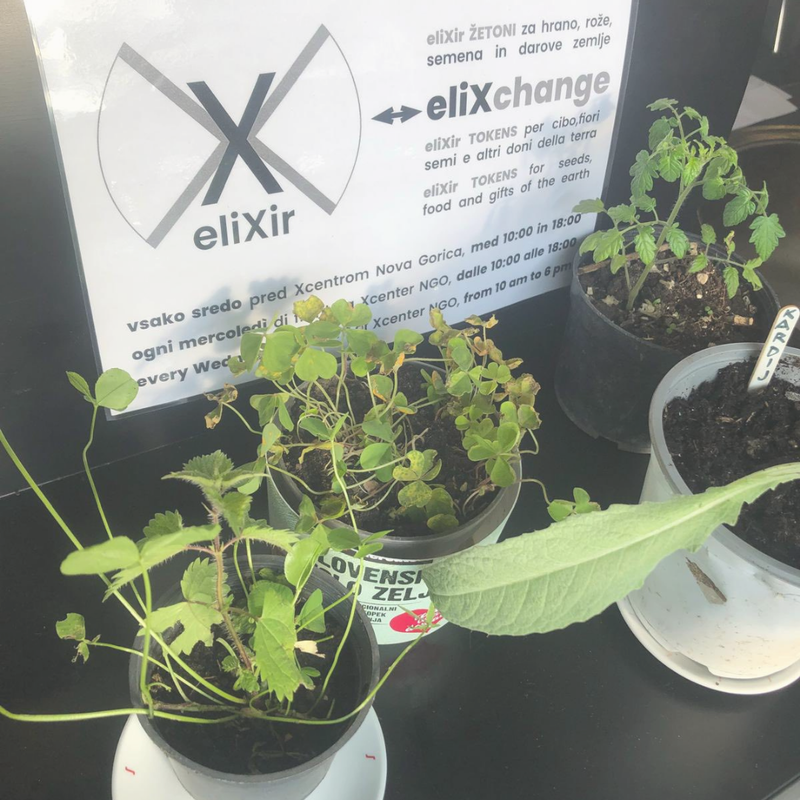 Events - Jatun Risba, Uroš Brezavšček, Vita Matjac: eliXir - Xcenter